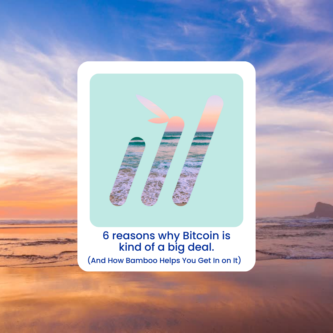 6 Reasons Why Bitcoin is Kind of a Big Deal (And How Bamboo Helps You Get In on It)